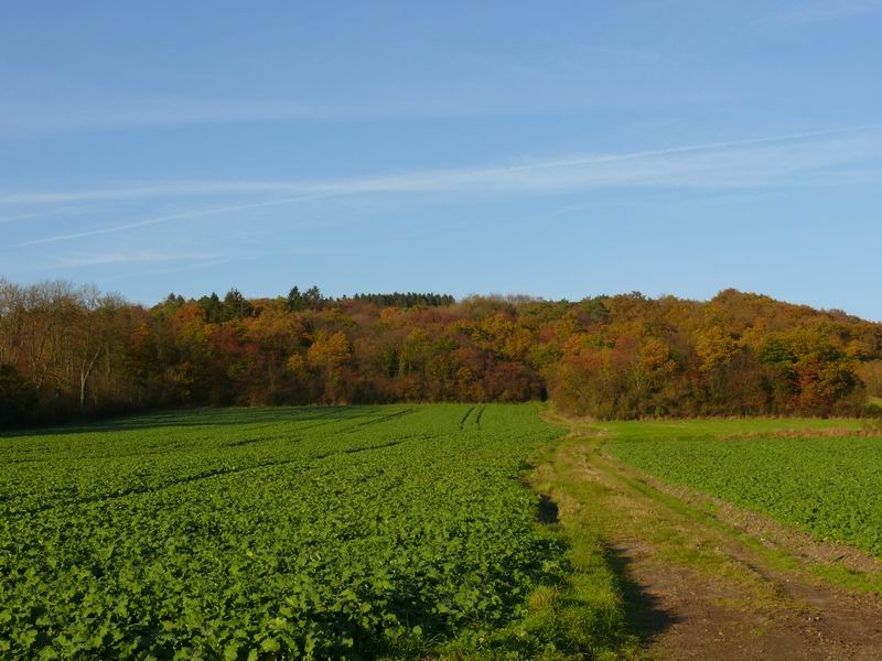 Massembre - Hastiere