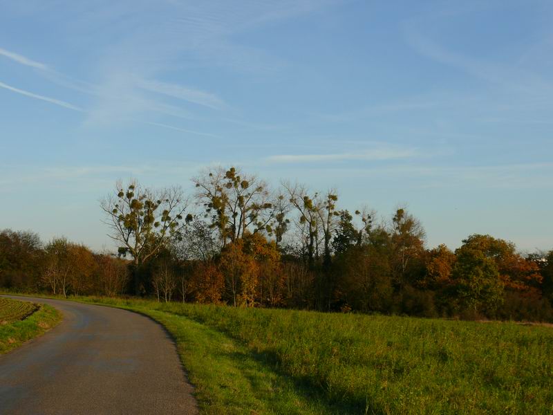 Massembre - Hastiere