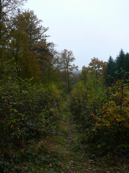 Massembre - Hastiere